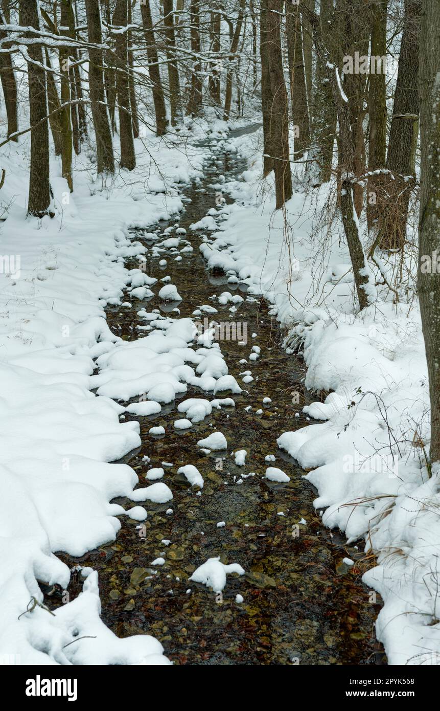 Small brook in winter Stock Photo - Alamy