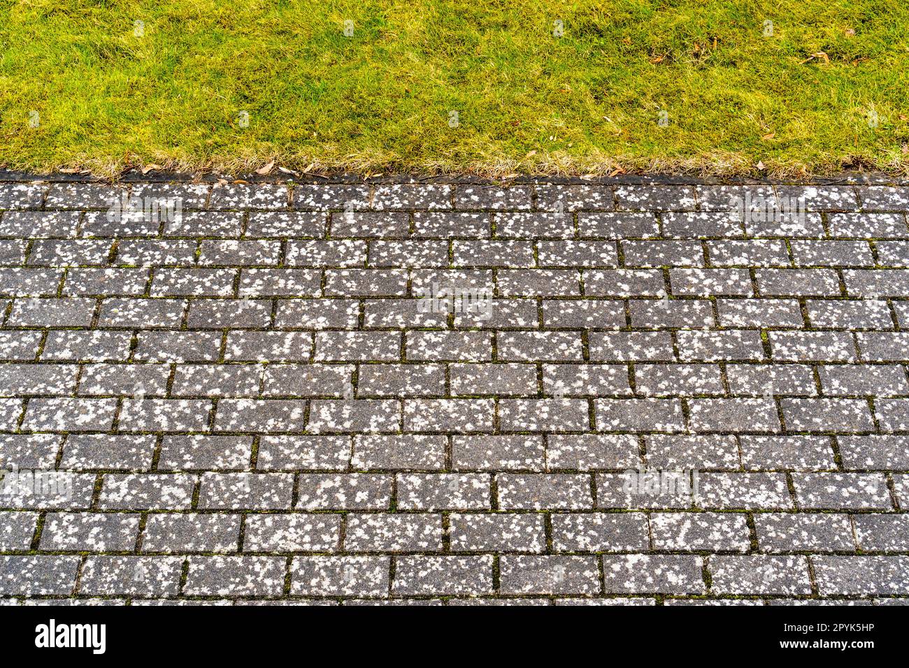 Abstract background with concrete pathway and green grass Stock Photo ...