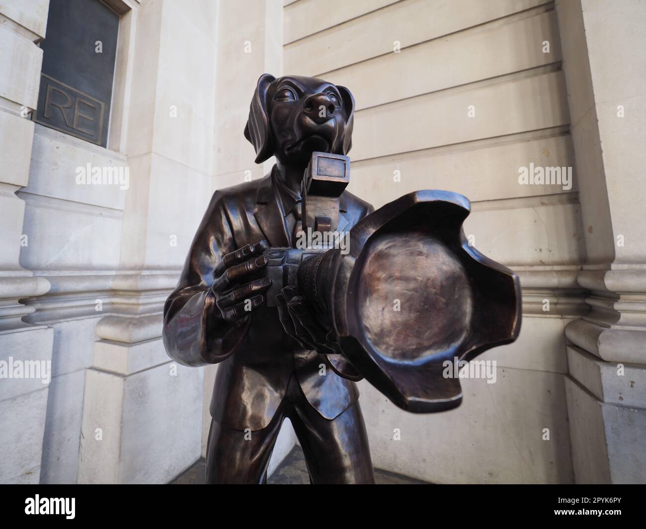 Paparazzi Dogs in London Stock Photo - Alamy