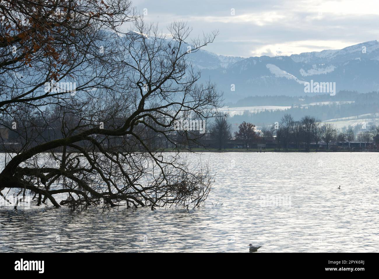 A scene at the shore of lake Sempach in Switzerland Stock Photo - Alamy