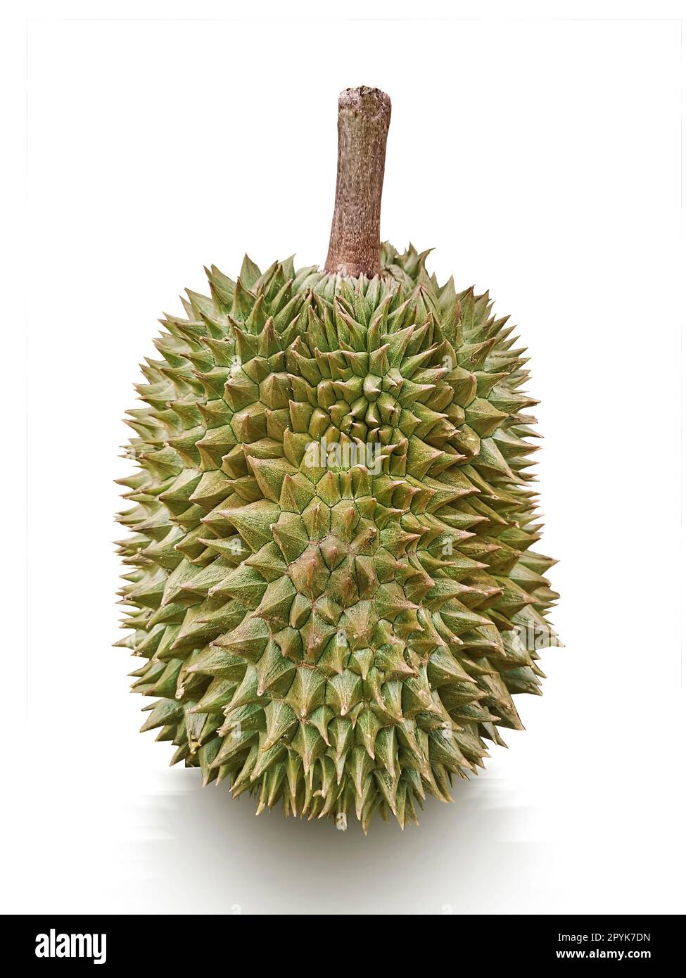 Durian isolated on white background Stock Photo - Alamy