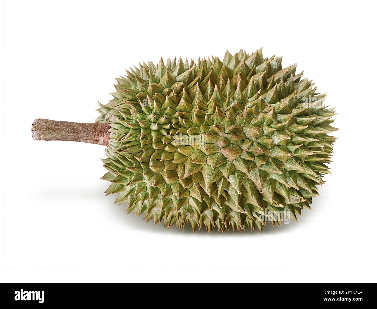 Durian isolated on white background Stock Photo - Alamy