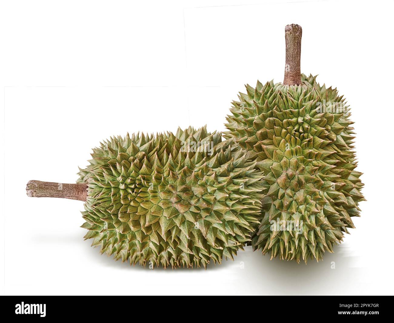 Durian tree Cut Out Stock Images & Pictures - Alamy