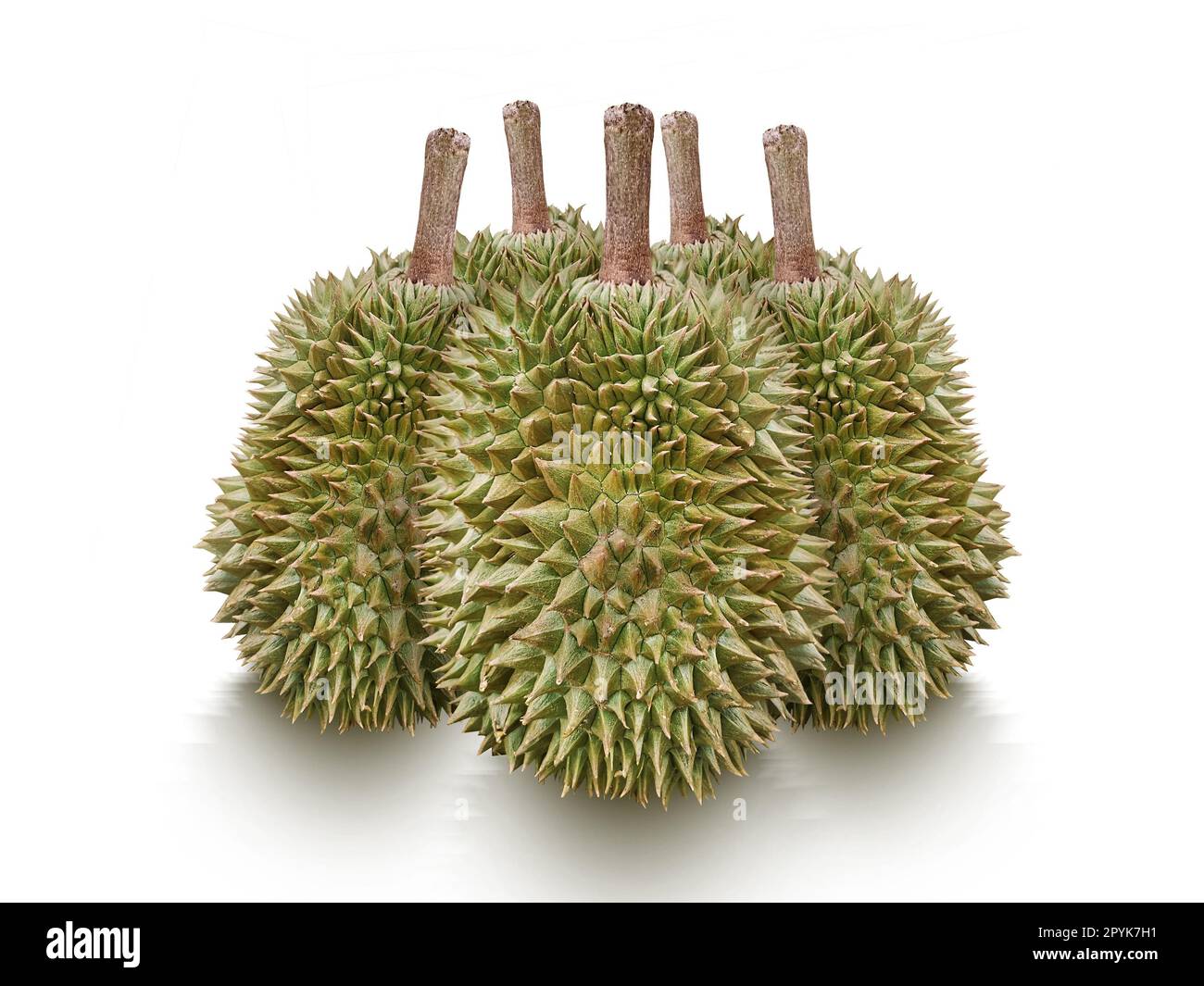Durian isolated on white background Stock Photo - Alamy