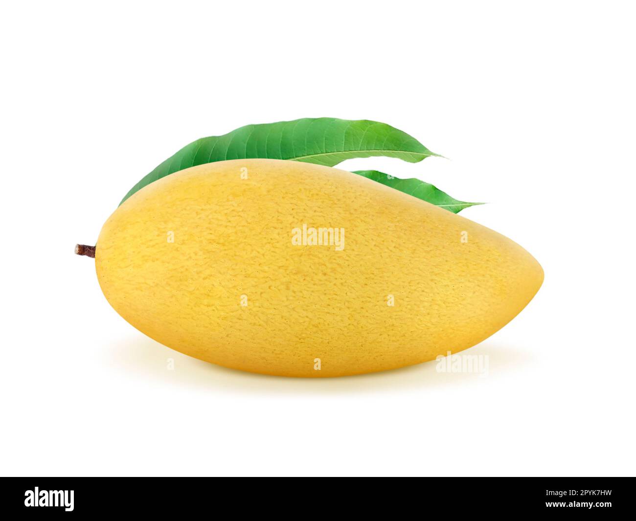 Golden yellow ripe mango fruit isolate on white background Stock Photo ...
