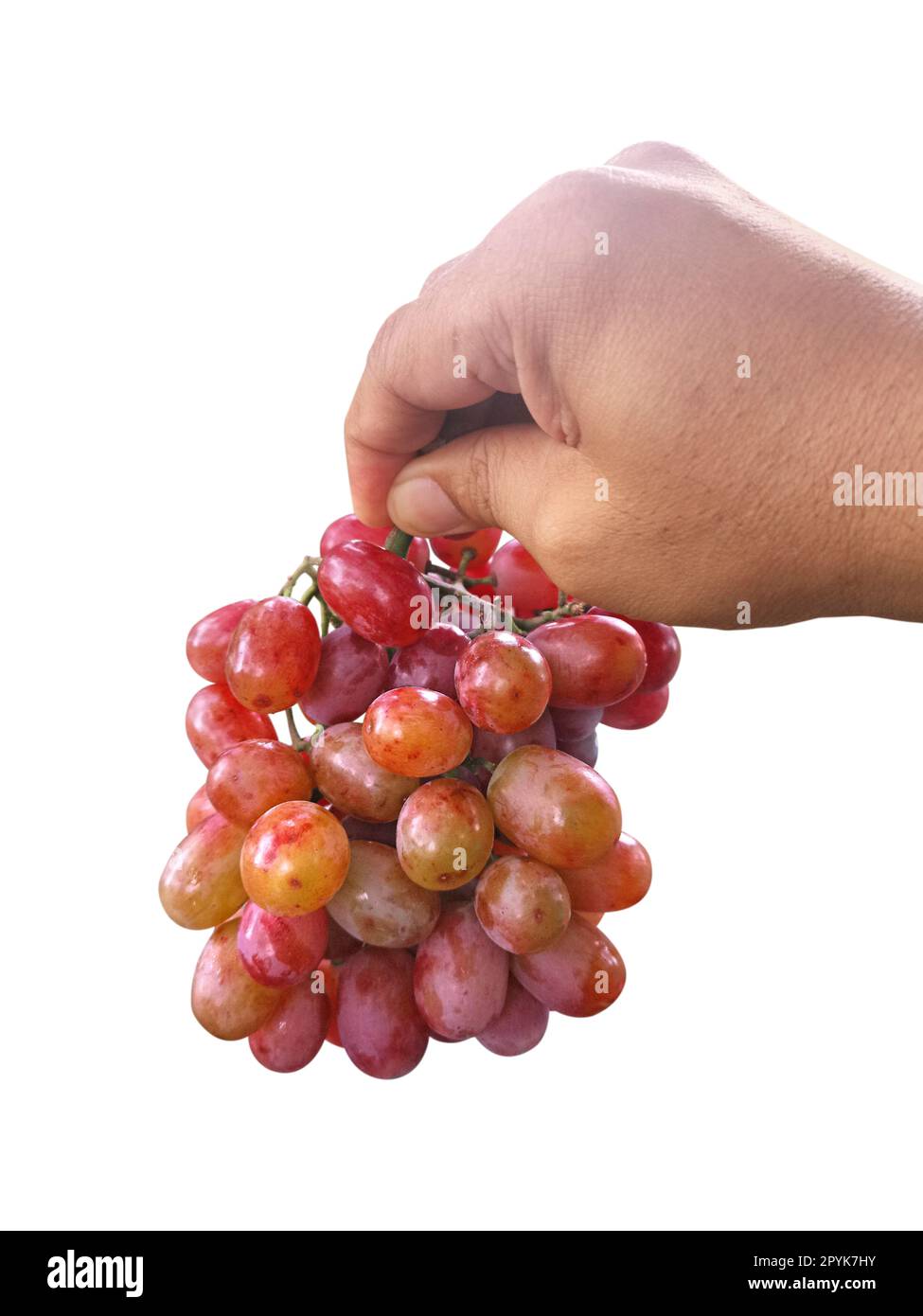 grape fruit in hand on white background Stock Photo - Alamy