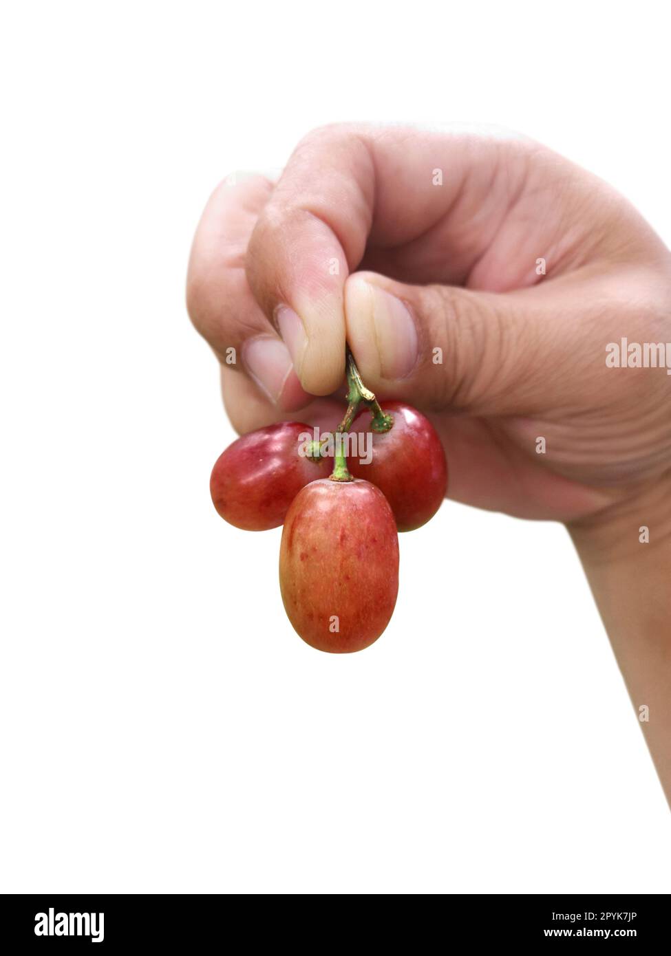 grape fruit in hand on white background Stock Photo - Alamy