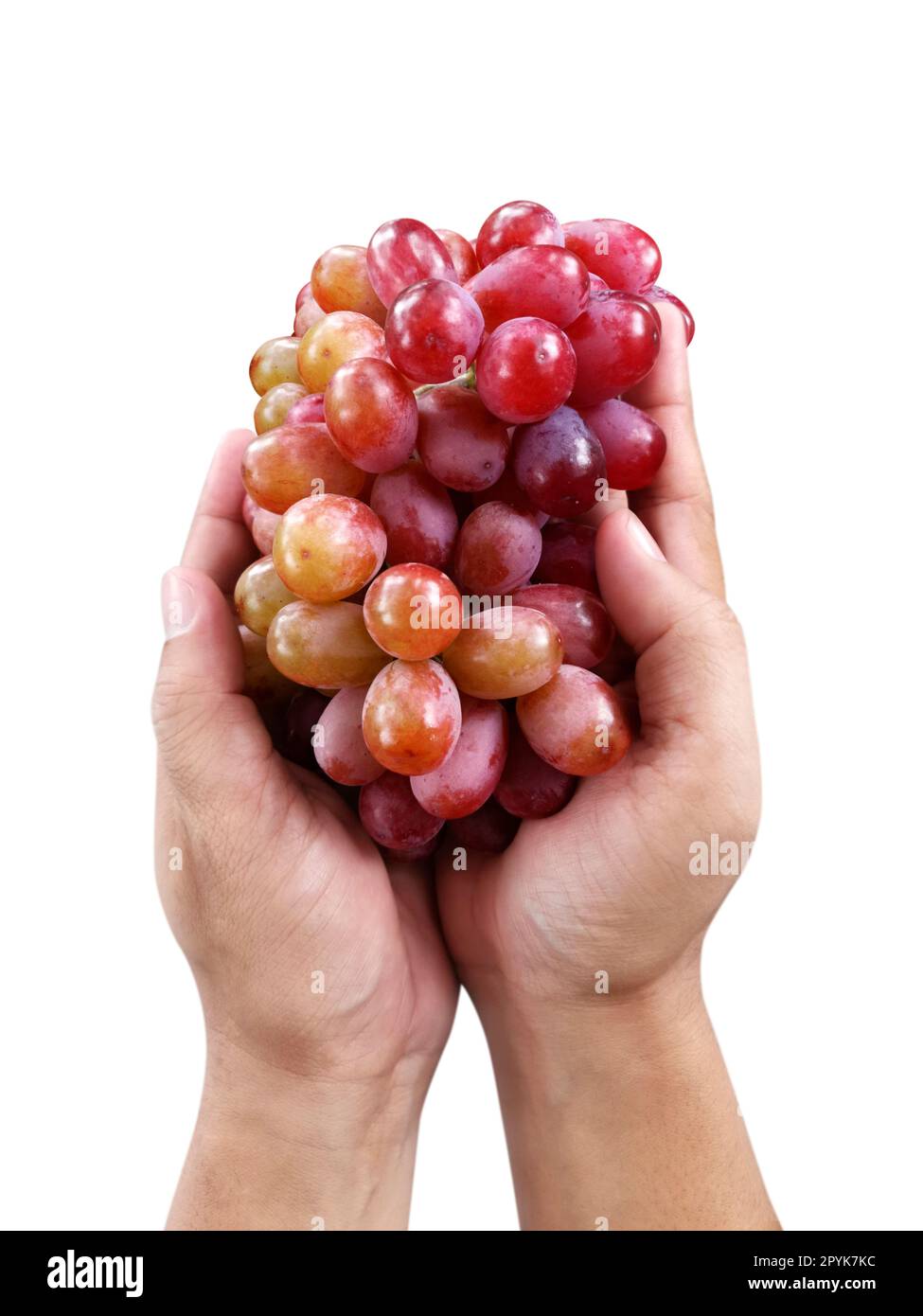 grape fruit in hand on white background Stock Photo - Alamy