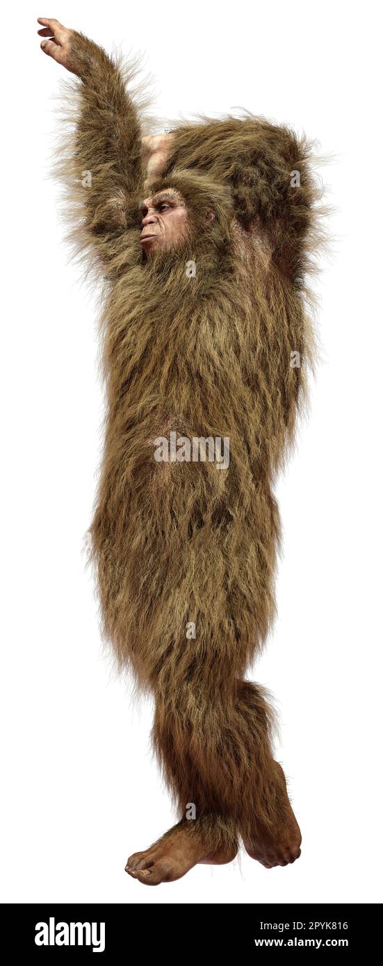 3D rendering of a Sasquatch or Bigfoot isolated on white background ...