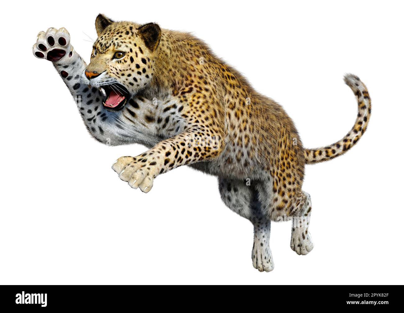 3D rendering of a big cat leopard isolated on white background Stock ...