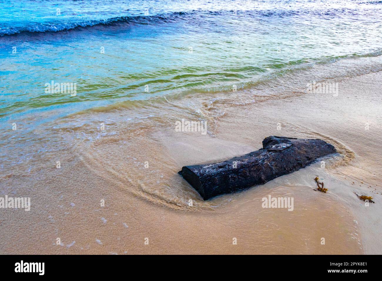 Beautiful Caribbean beach with washed up tree trunk wood Mexico Stock ...