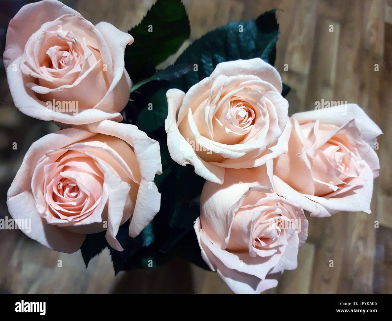 Beige color hi-res stock photography and images - Alamy