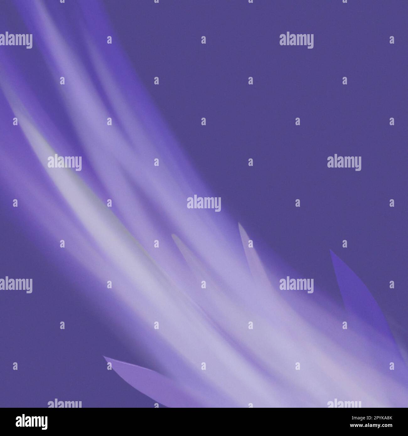 Lavender Color Background Abstract