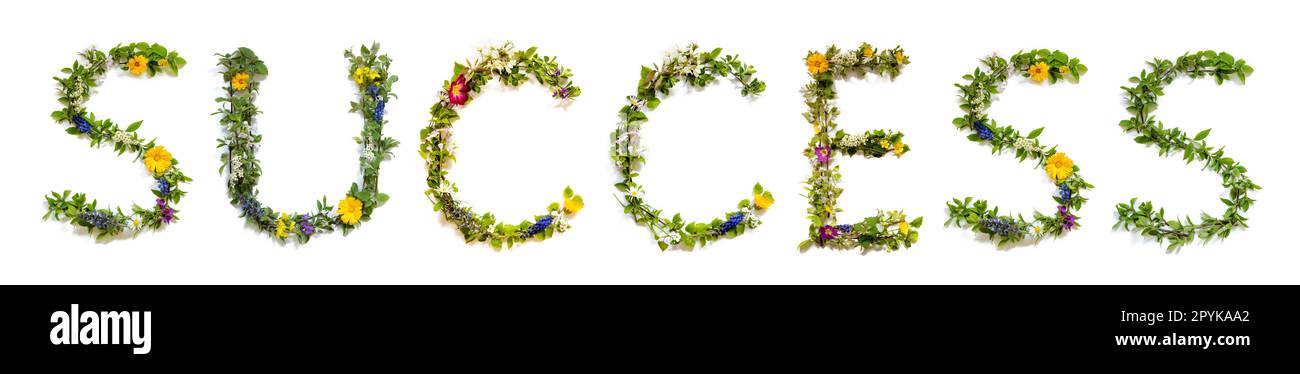 Colorful Blooming Flower Letters Building Word Success Stock Photo - Alamy