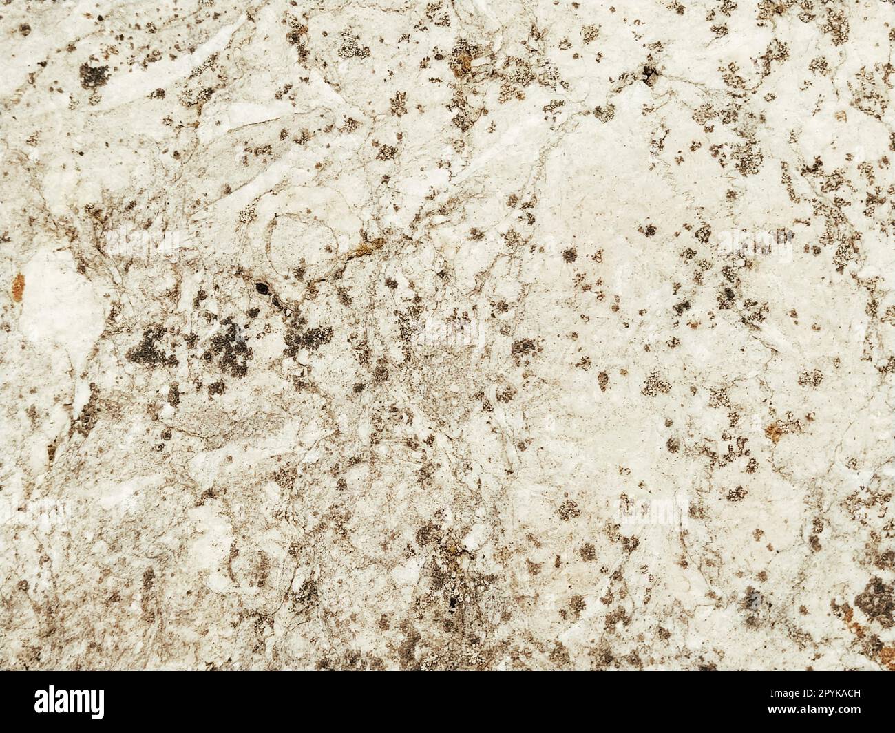 The textured surface of a concrete wall, marble or light stone with ...