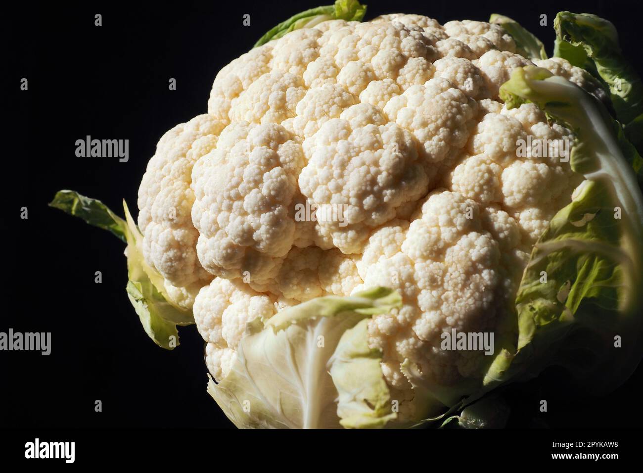 Cauliflower close-up on a black background. Side lighting. Fresh head ...