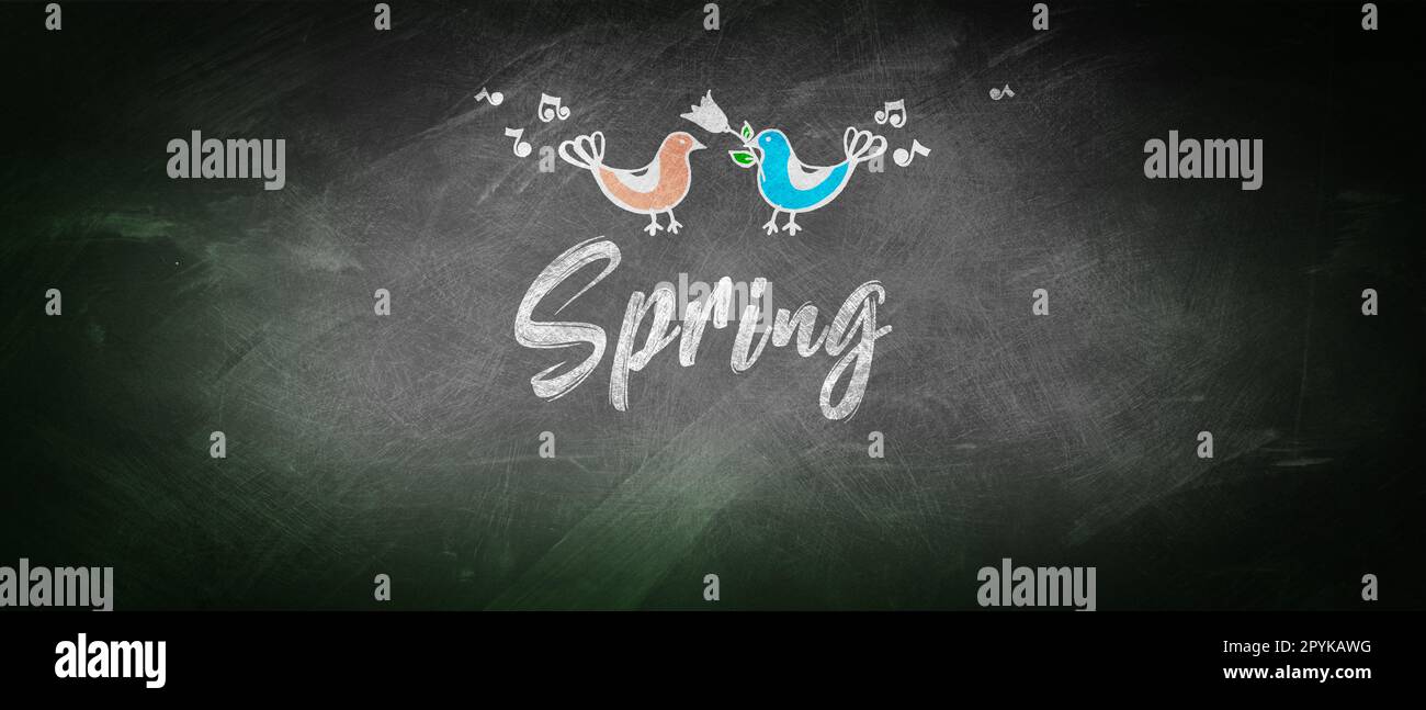 Funny spring word witten on chalkboad background Stock Photo - Alamy