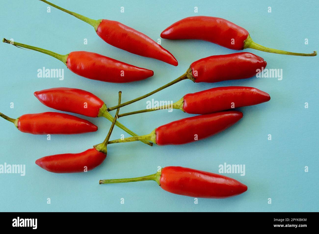 Red hot chili peppers in the kitchen Stock Photo - Alamy