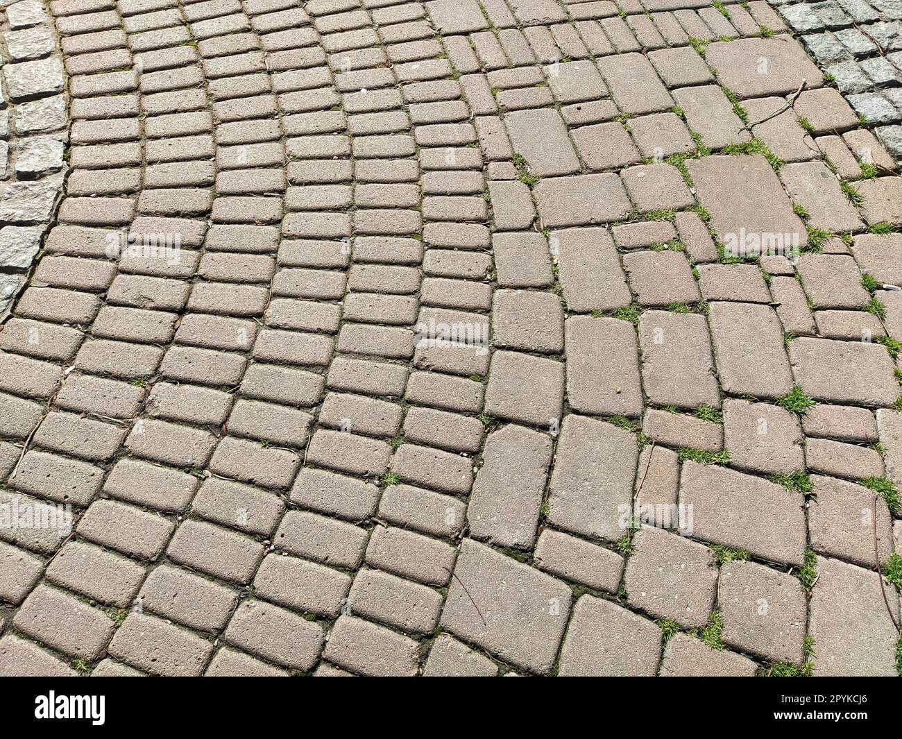 Cobbled street of the old city, lined with square and rectangular stone ...