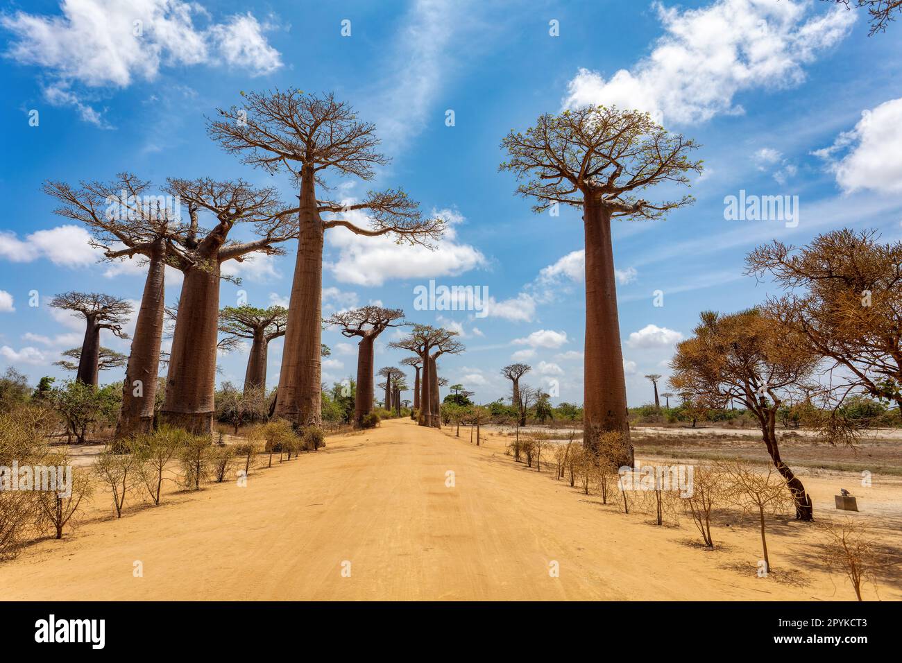 Madagascar landscape hi-res stock photography and images - Alamy