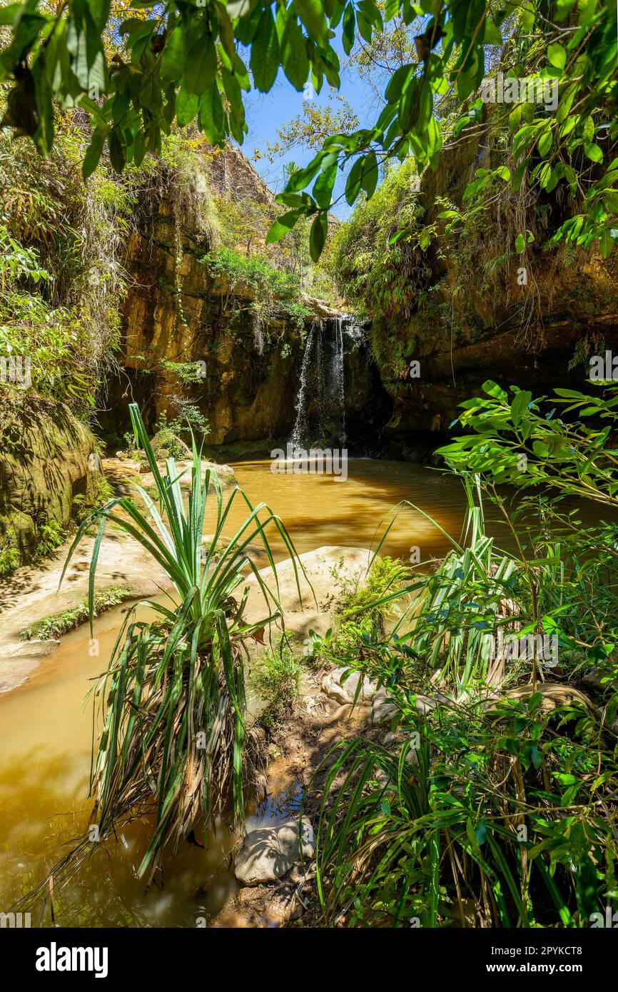 Rain forest waterfall, Madagascar wilderness landscape Stock Photo - Alamy