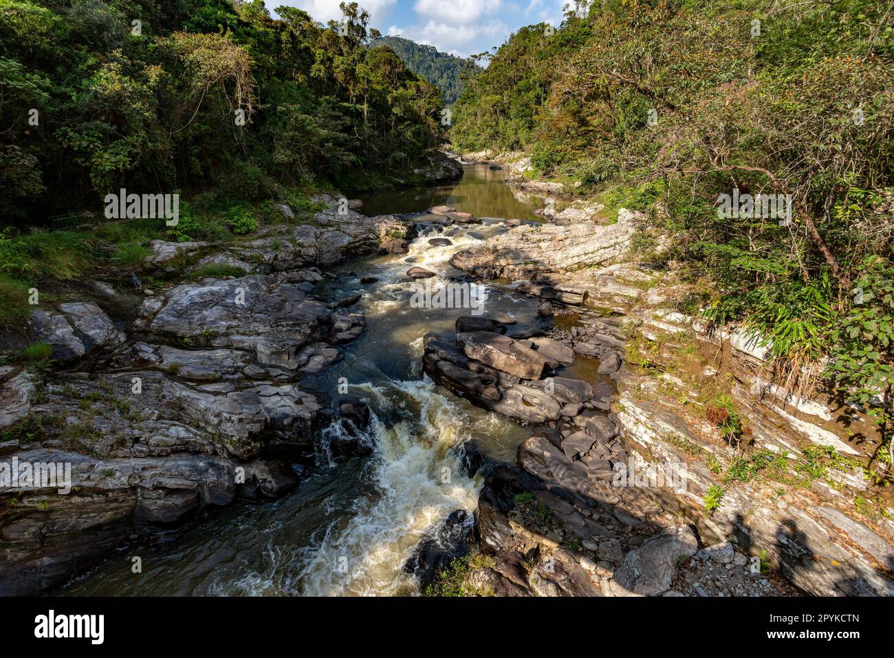 Madagascar rainforest lush hi-res stock photography and images - Alamy