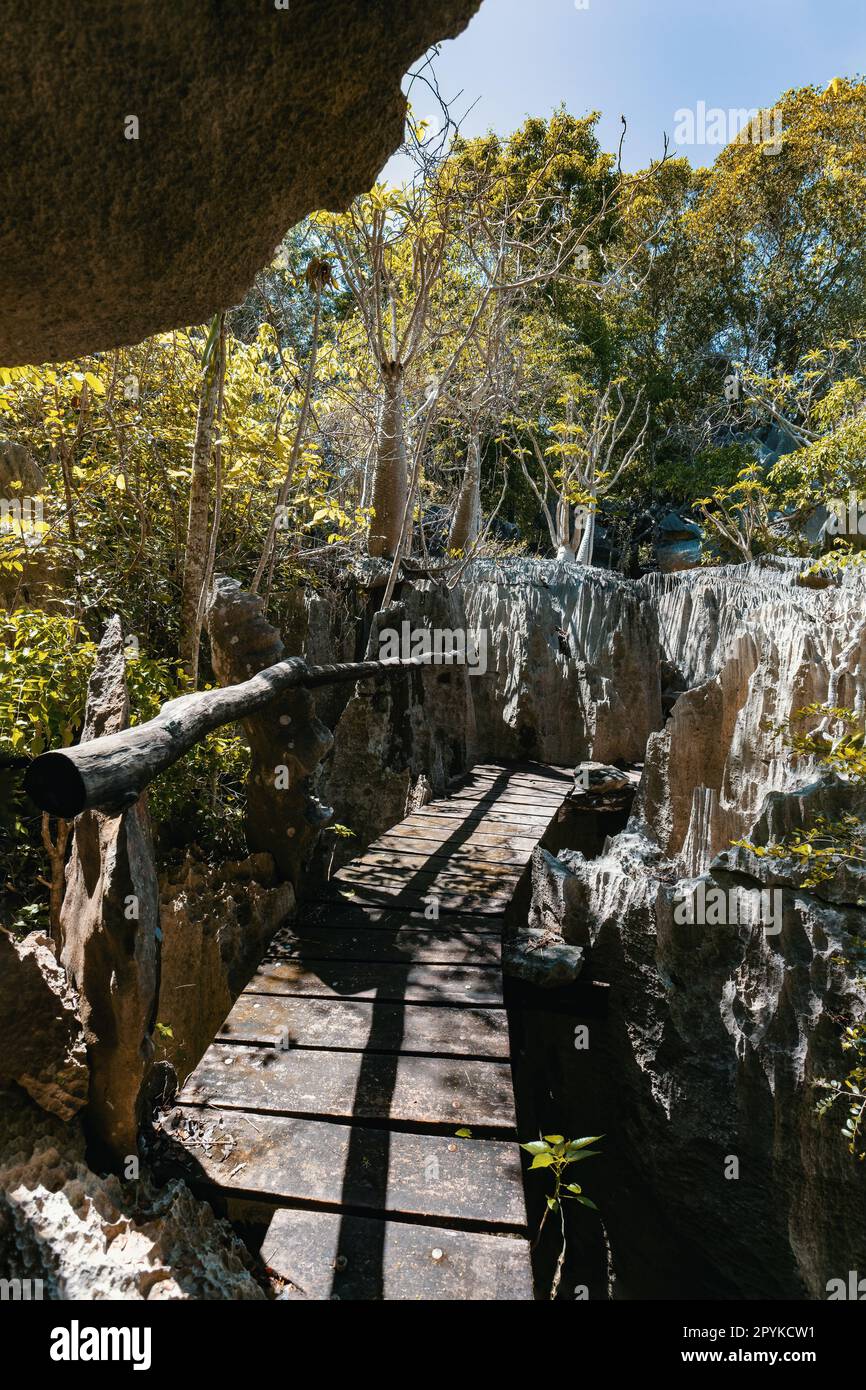 Narrow path between rocks in Petit Tsingy de Bemaraha, Strict Nature ...