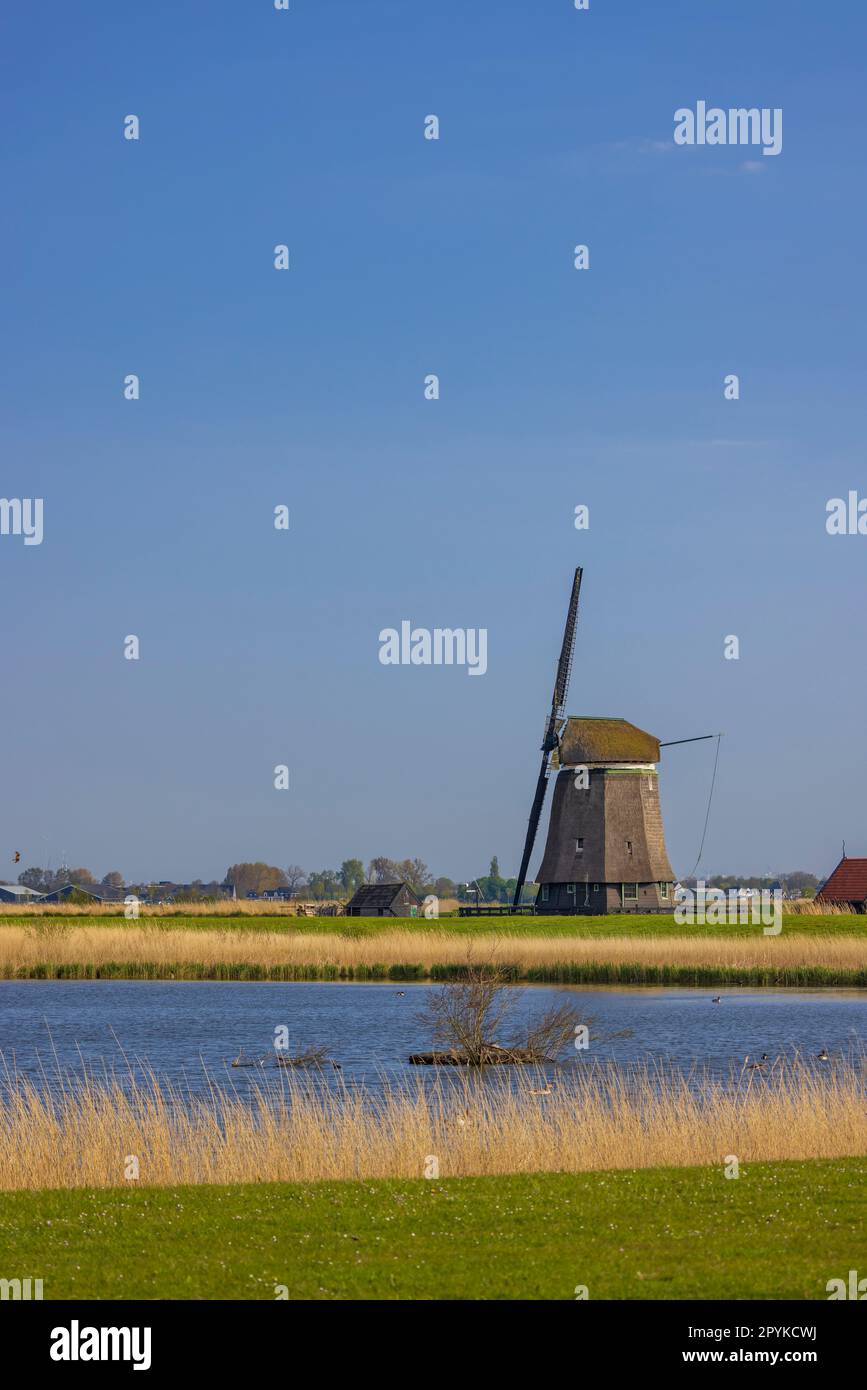 Old windmill near Alkmaar, The Netherlands Stock Photo - Alamy