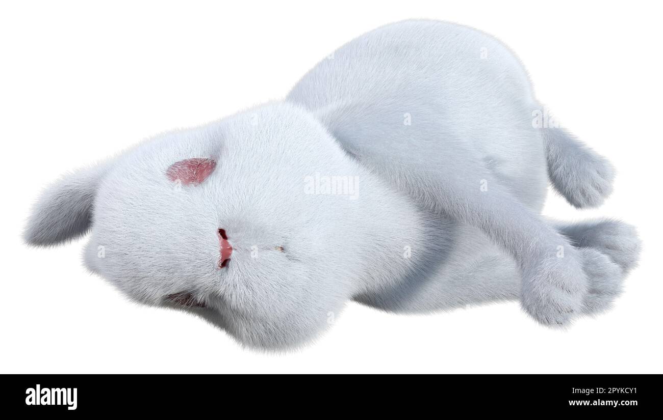 3D rendering of a white bunny isolated on white background Stock Photo ...