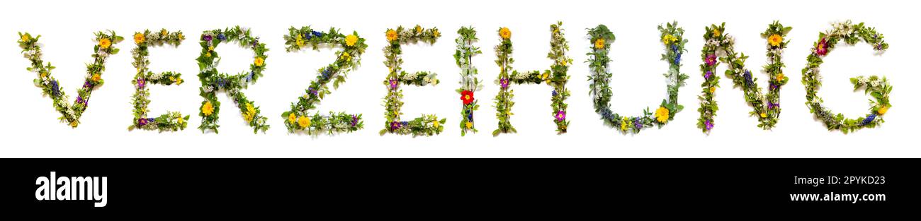 Apology flower Cut Out Stock Images & Pictures - Alamy