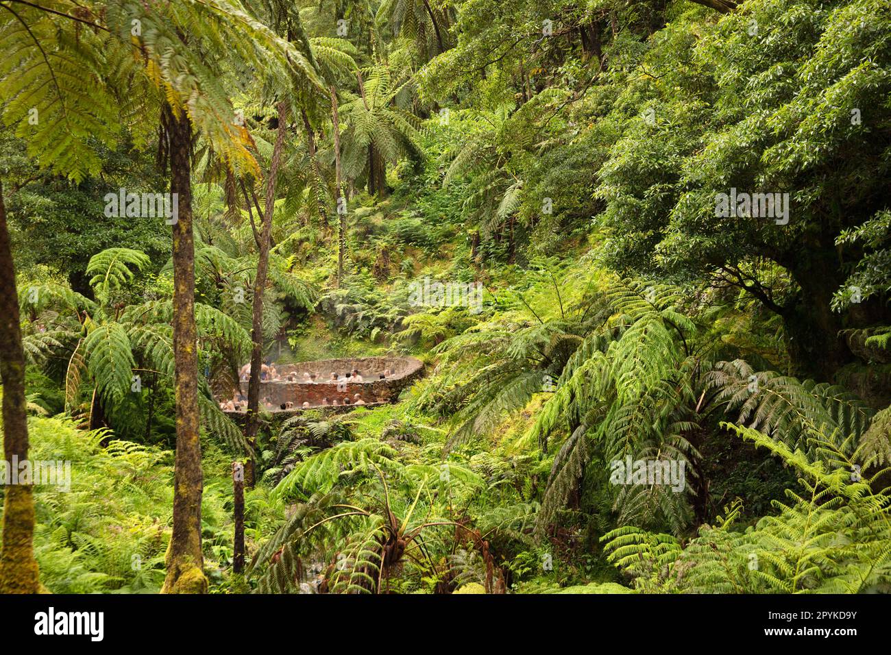 Portugal, Azores, Sao Miguel Island, Caldeira Velha hot spring ...