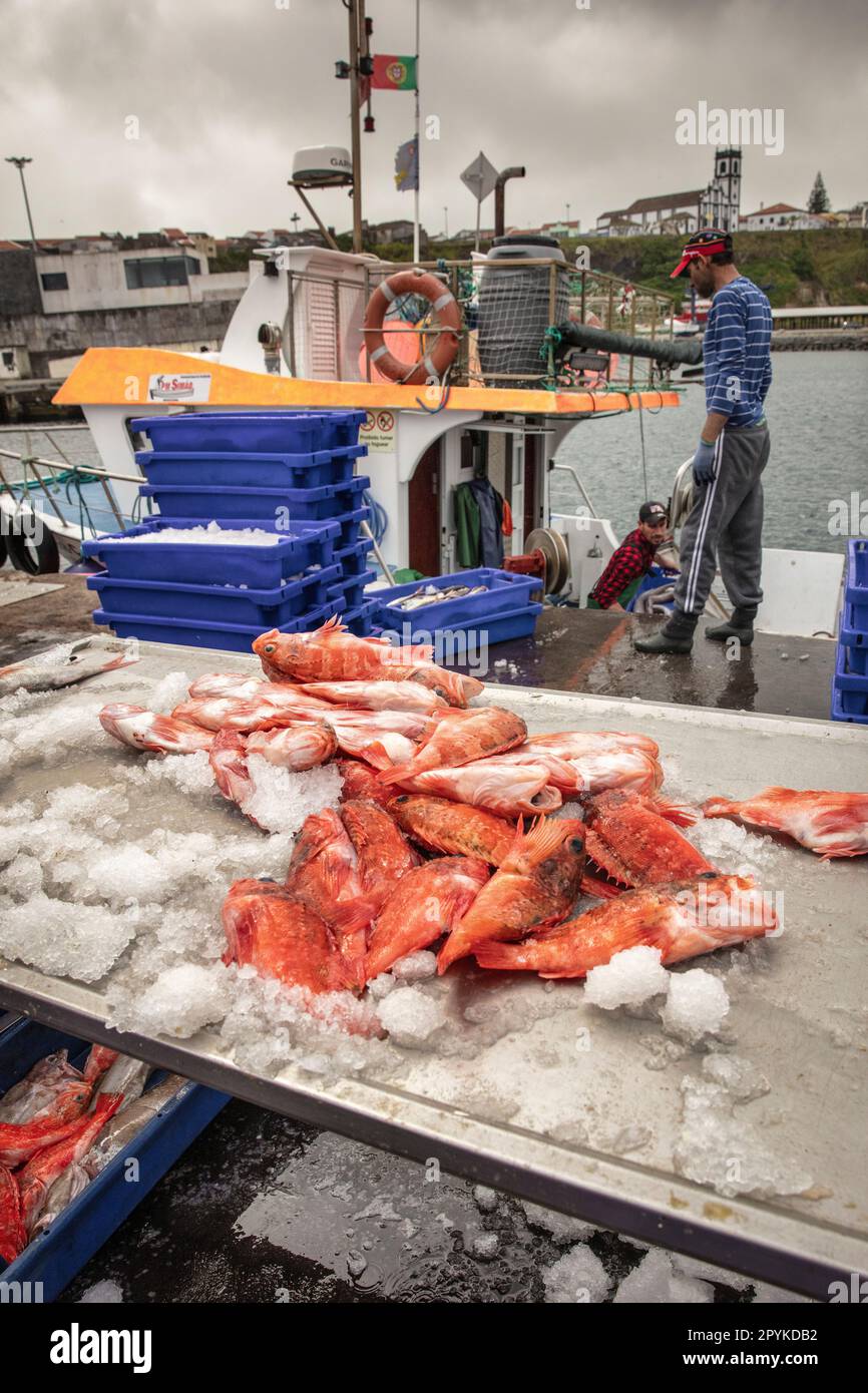 Portugal, Azores, Sao Miguel Island, Ribeira Grande. Fish harbour Stock ...