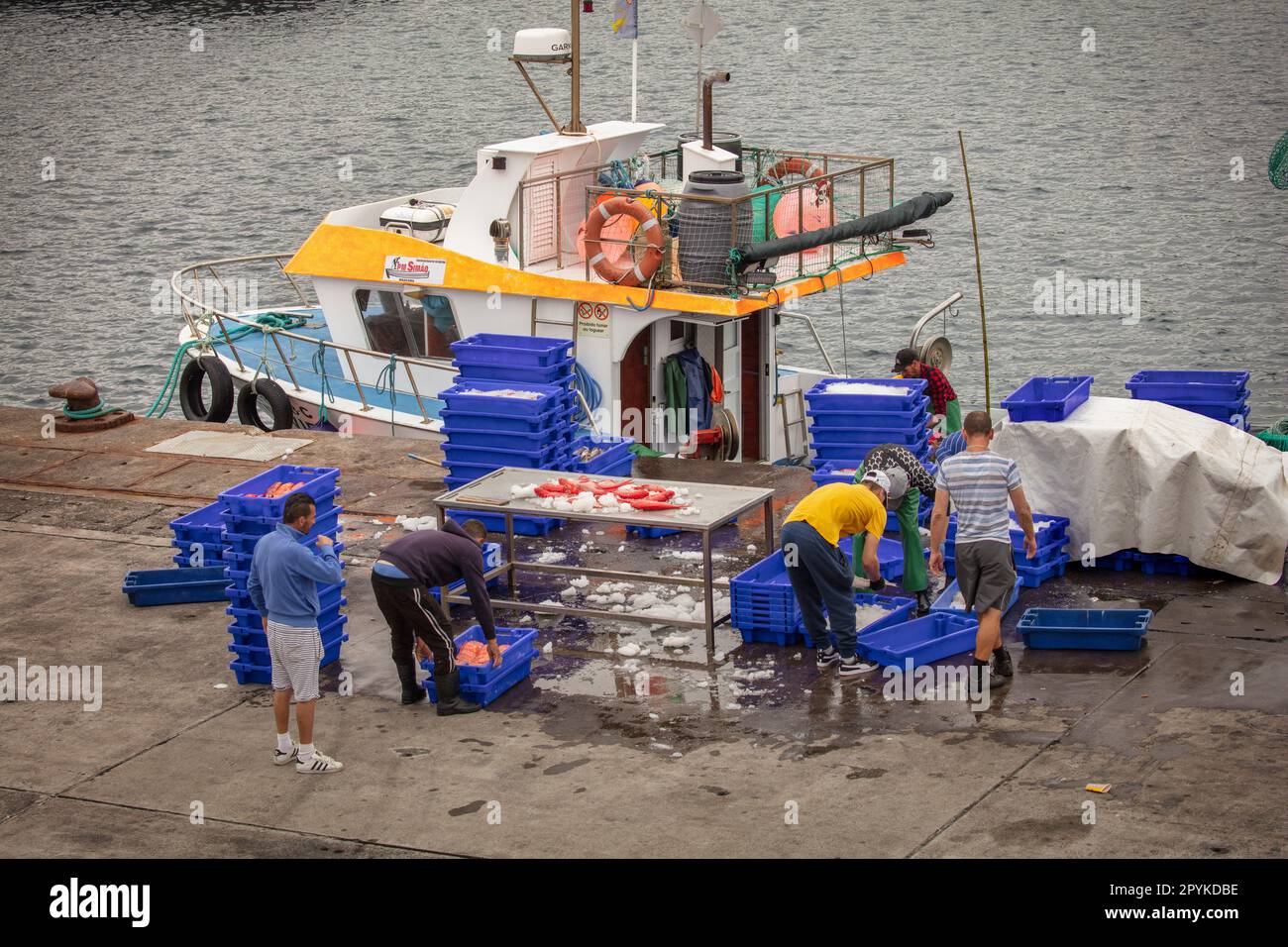 Portugal, Azores, Sao Miguel Island, Ribeira Grande. Fish harbour Stock ...
