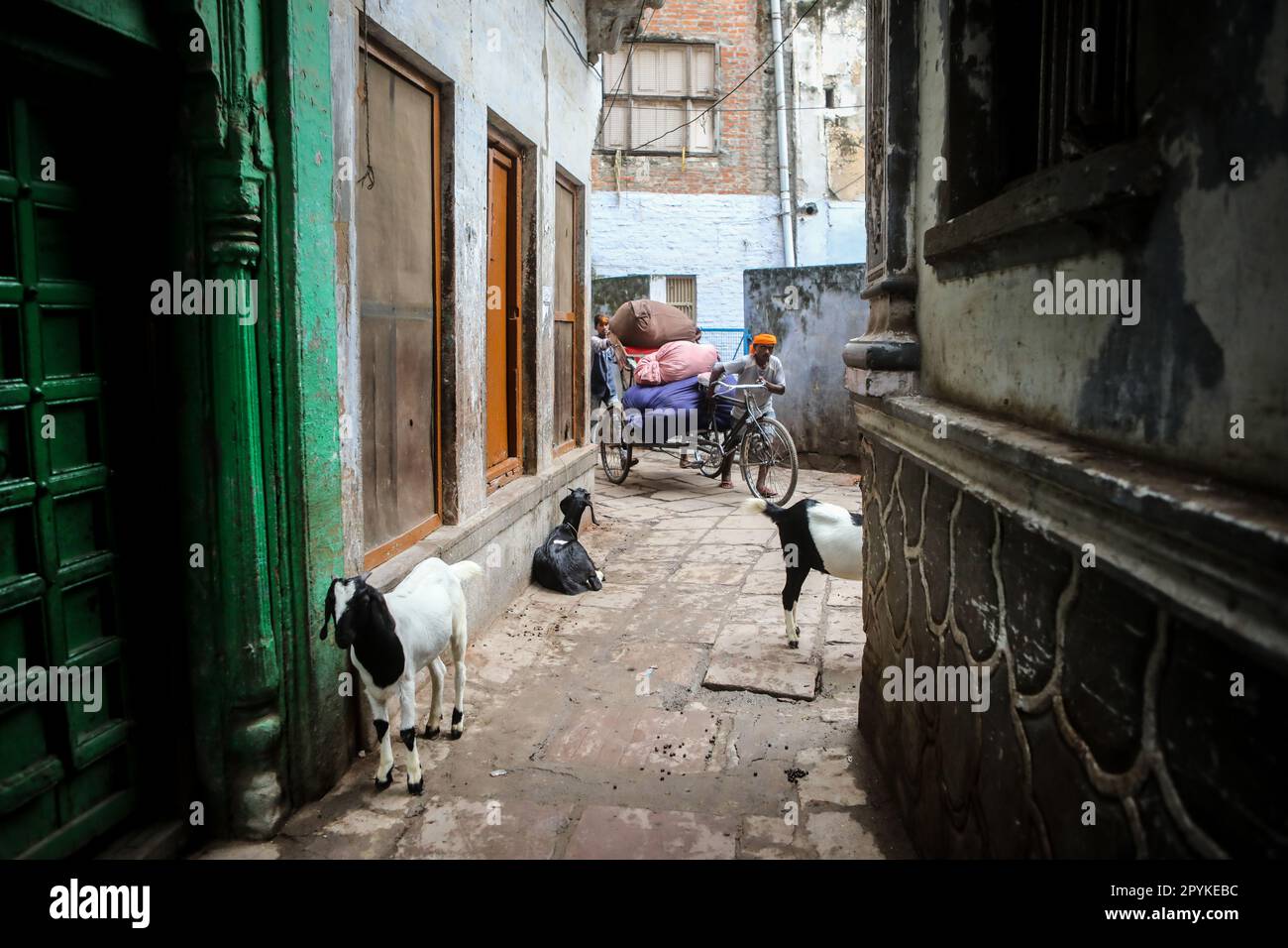 Street of Varanasi Stock Photo - Alamy