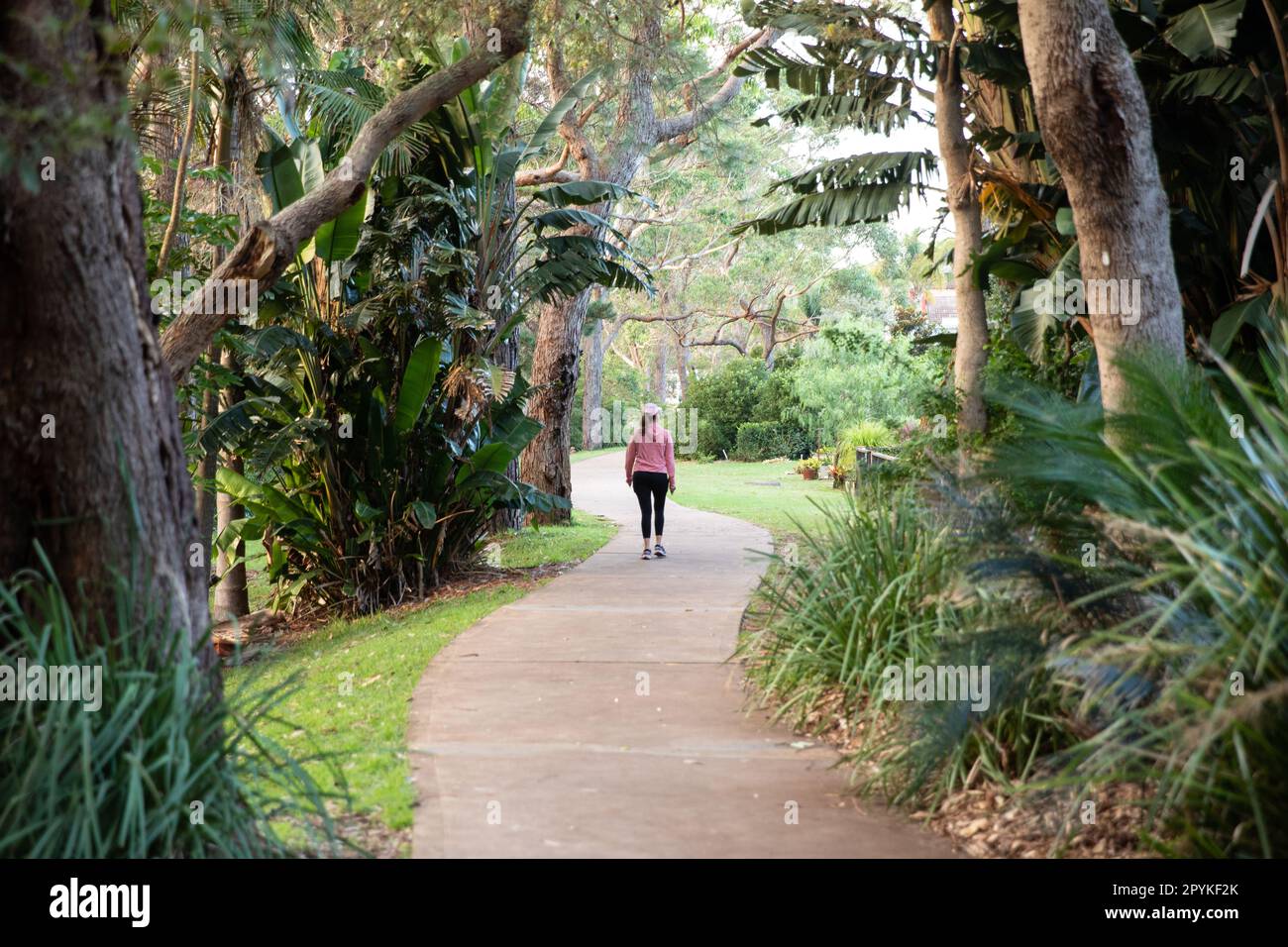 Huskisson, NSW South Coast, Australia Stock Photo - Alamy