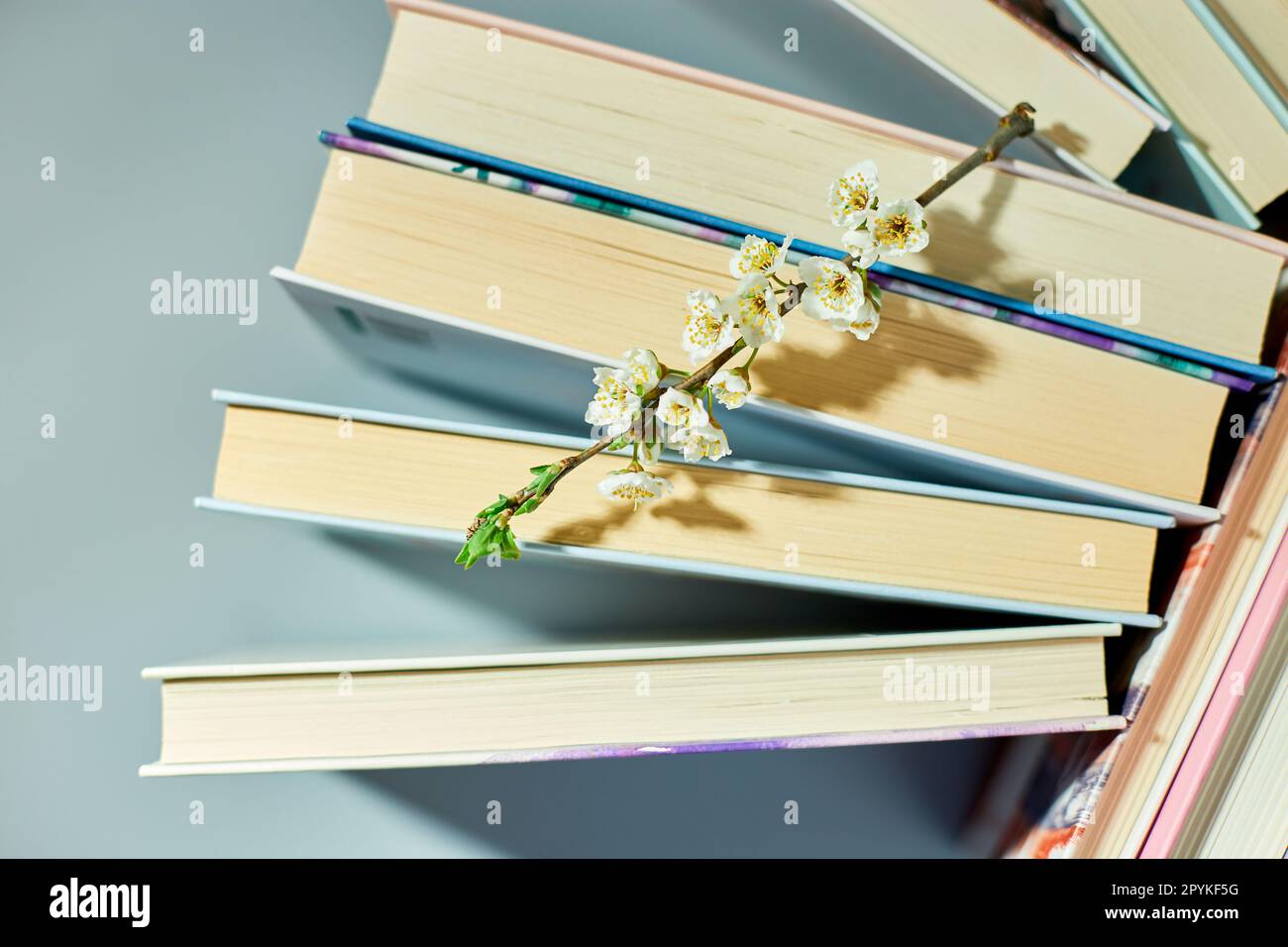 Stack of books with branch flowers, World book day, knowledge and ...