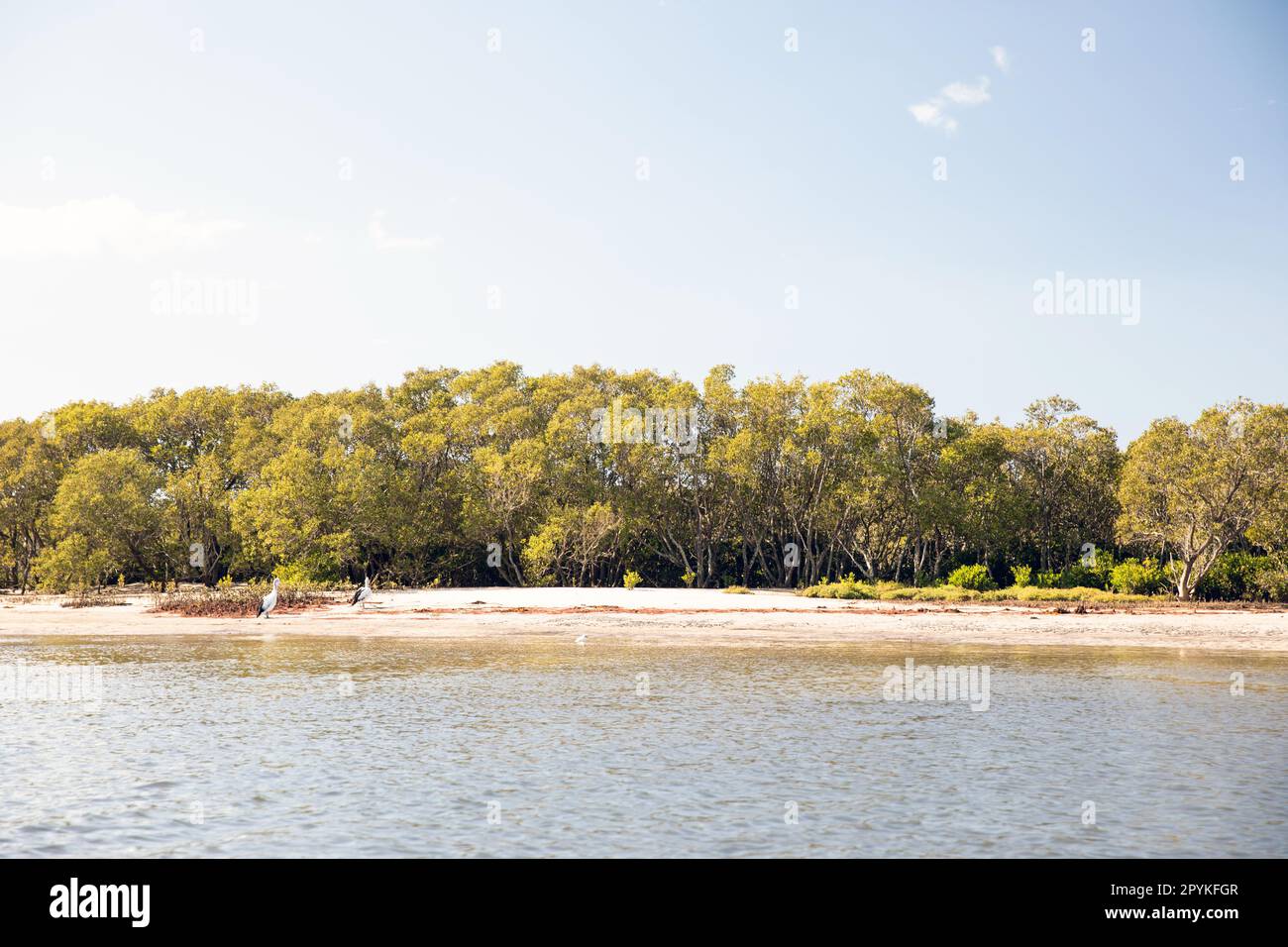 Huskisson, NSW South Coast, Australia Stock Photo - Alamy