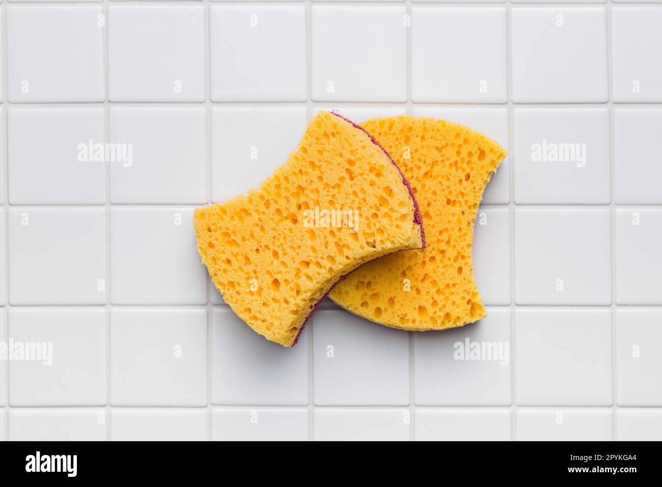 Bathing cleaning sponge hi-res stock photography and images - Alamy