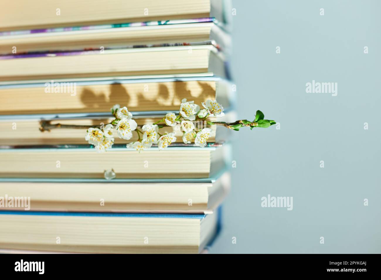 Stack of books with branch flowers, World book day, knowledge and ...