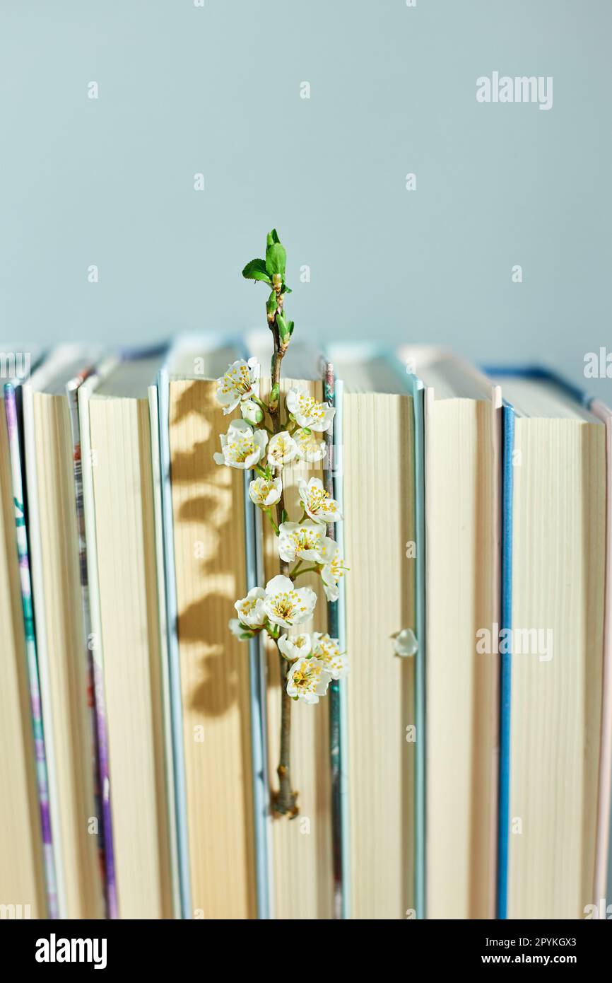 Stack of books with branch flowers, World book day, knowledge and ...