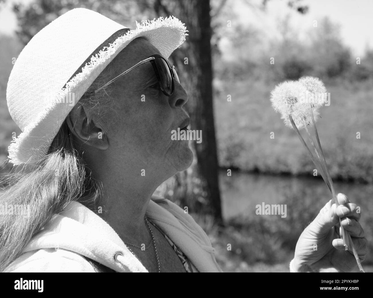 A lady blowing the seeds from a bunch of dandelions Stock Photo - Alamy