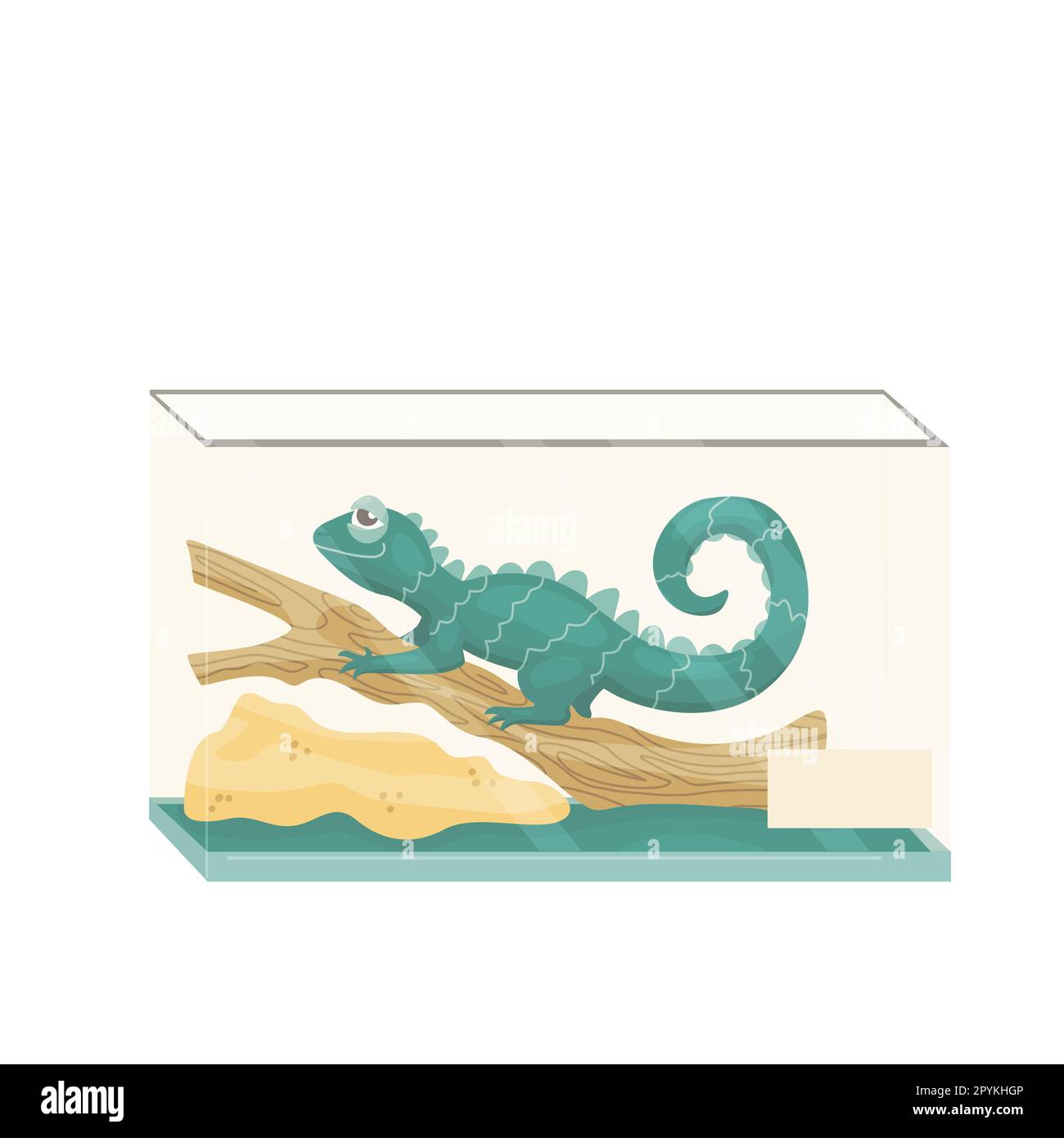 Lizard reptile in terrarium. Vector cartoon illustration Stock Vector ...