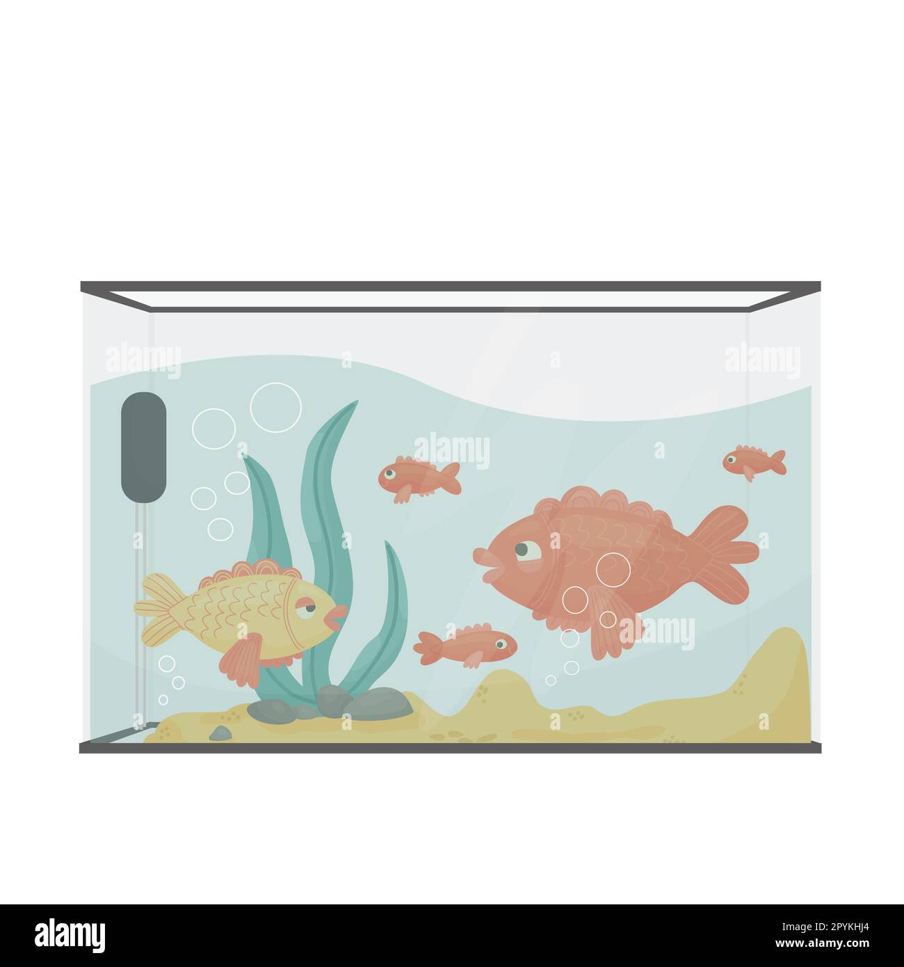 Home Aquarium with fishes. Fish tank. Vector cartoon illustration Stock ...