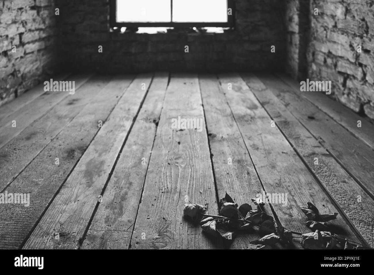 Sleeping places in the interior of the barracks in the extermination ...