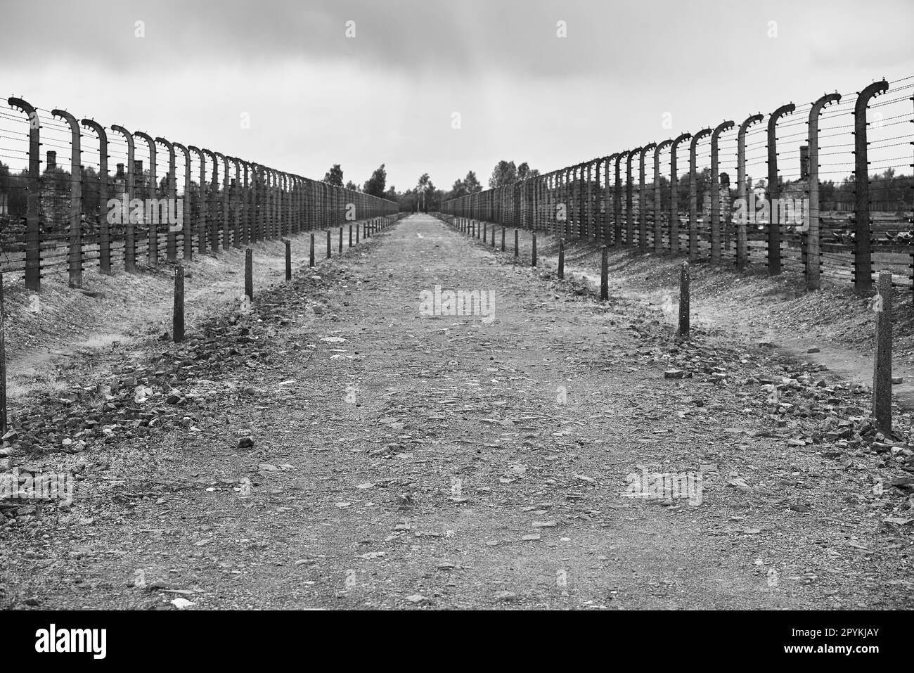 high-voltage barbed wire in an extermination camp in Poland from the ...
