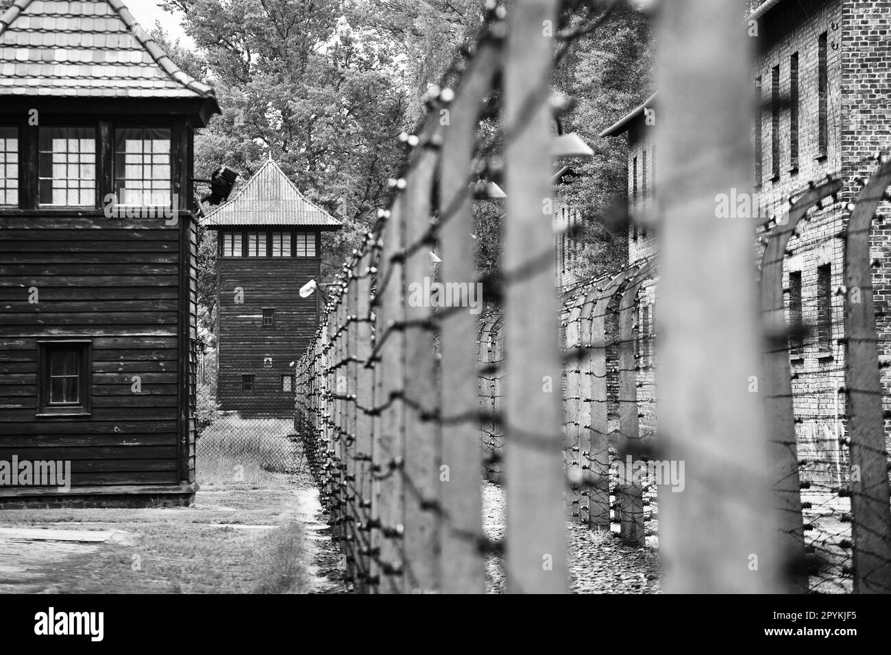 high-voltage barbed wire in an extermination camp in Poland from the ...