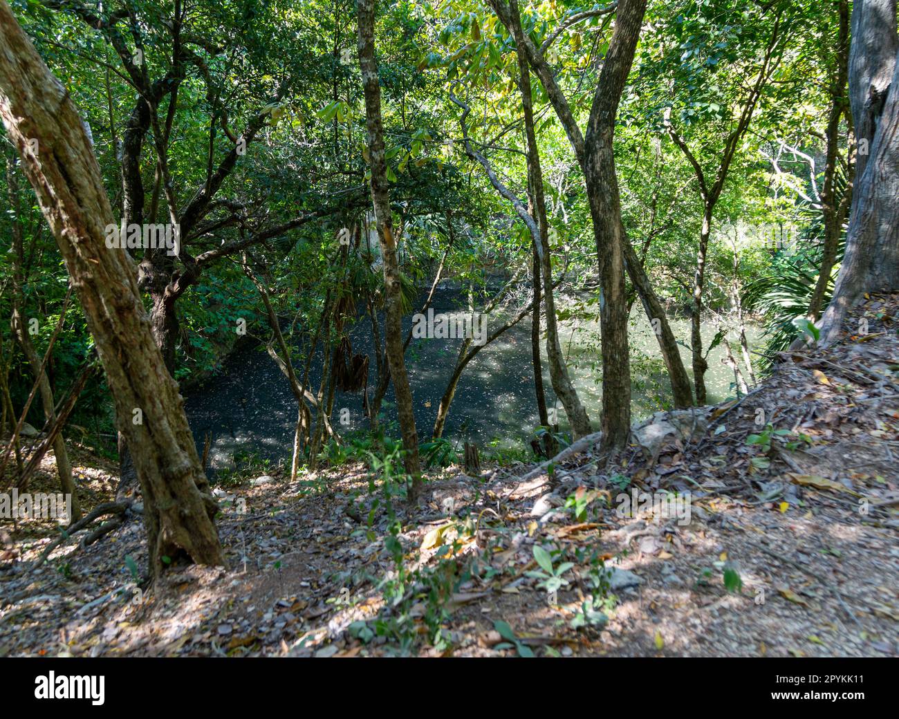 Pool of water in Xtoloc Cenote Chichen Itzá, Mayan ruins, Yucatan ...