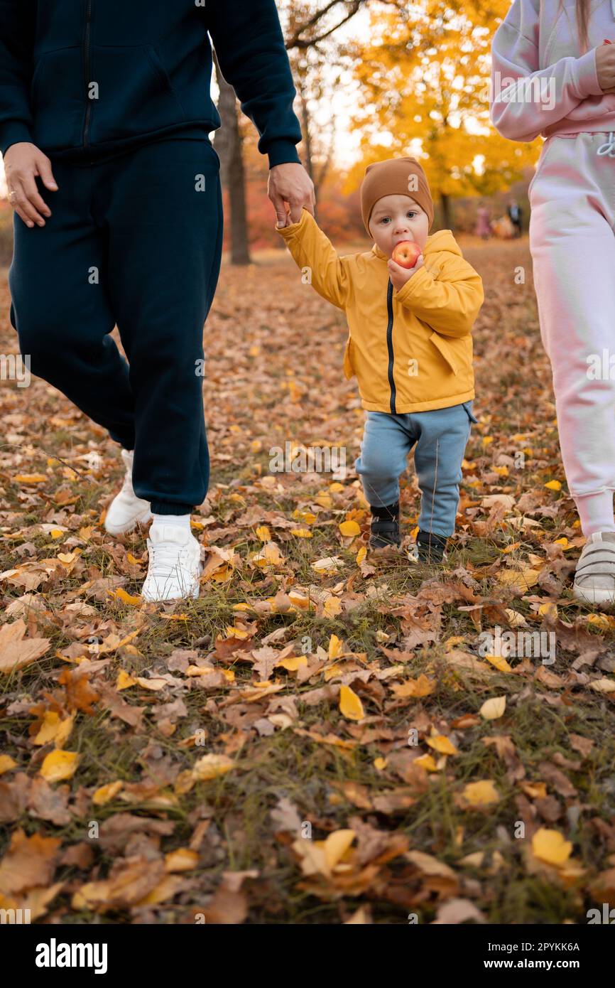 Family with a small son walk in autumn park with fallen fall leaves ...