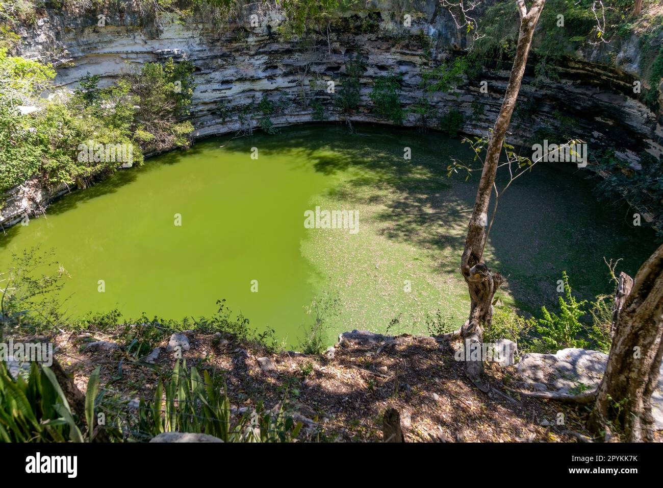 Sacred Cenote, Chichen Itzá, Mayan ruins, Yucatan, Mexico Stock Photo ...
