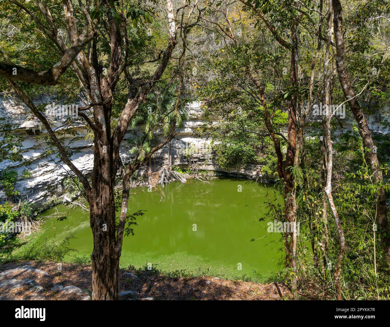 Sacred Cenote, Chichen Itzá, Mayan ruins, Yucatan, Mexico Stock Photo ...